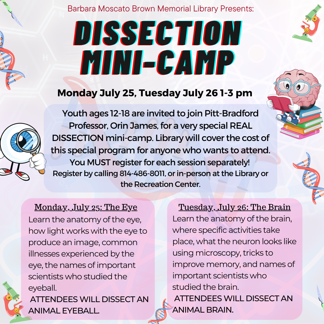 Library Programs – Barbara Moscato Brown Memorial Library